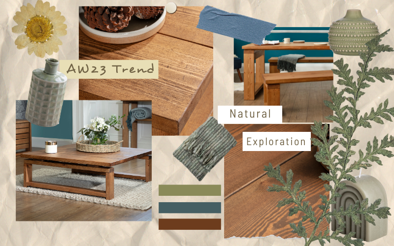 Latest Interior Trends: Natural Exploration