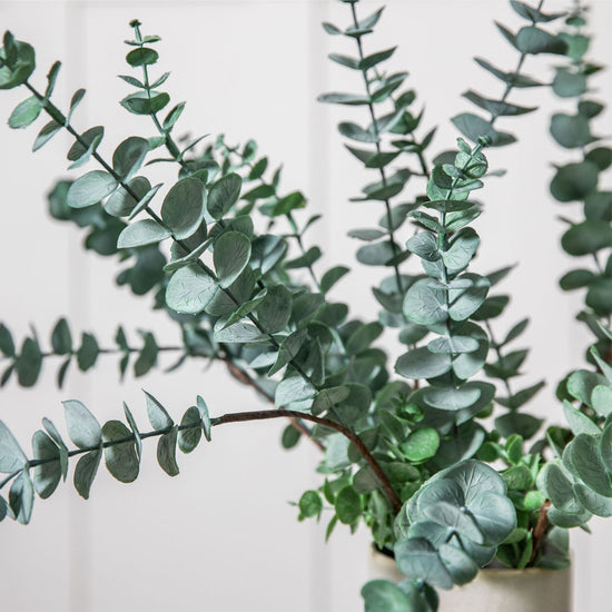 Tall Eucalyptus Spray - Dusky Grey | Save 20%