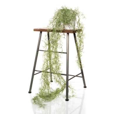 Fake Plants | Trailing Foliage | Next Day Dispatch