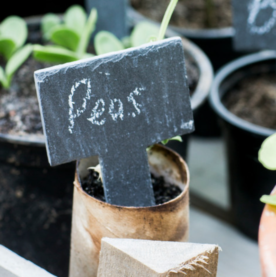 Set Of 6 Slate Plant Tags